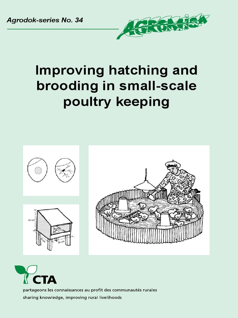 Improving Hatching and Brooding in Small-Scale Poultry Keeping | PDF | Chicken | Egg