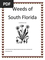 Weed Identification Guide | PDF | Clover | Leaf