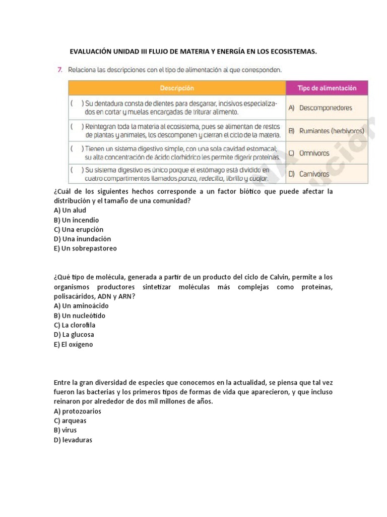 Evaluación Unidad Iii Flujo de Materia y Energía en Los Ecosistemas ...
