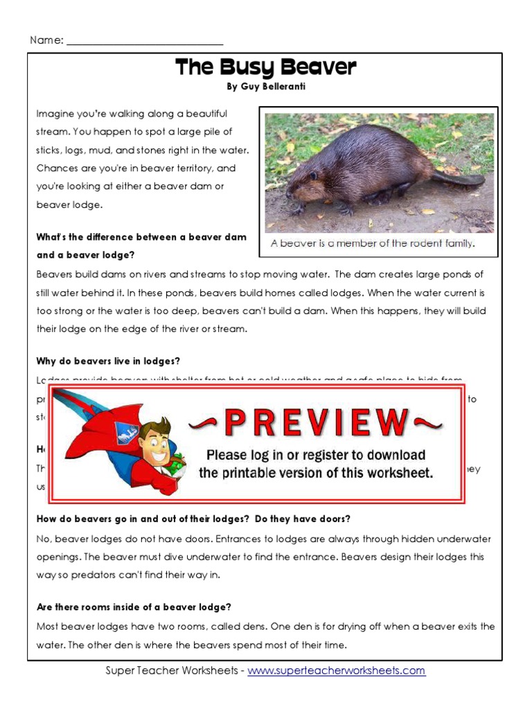 The Busy Beaver: Name | Download Free PDF | Beaver | Rodent