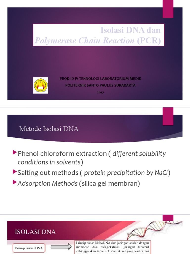 Isolasi DNA Dan PCR | PDF | Gel Electrophoresis | Polymerase Chain Reaction