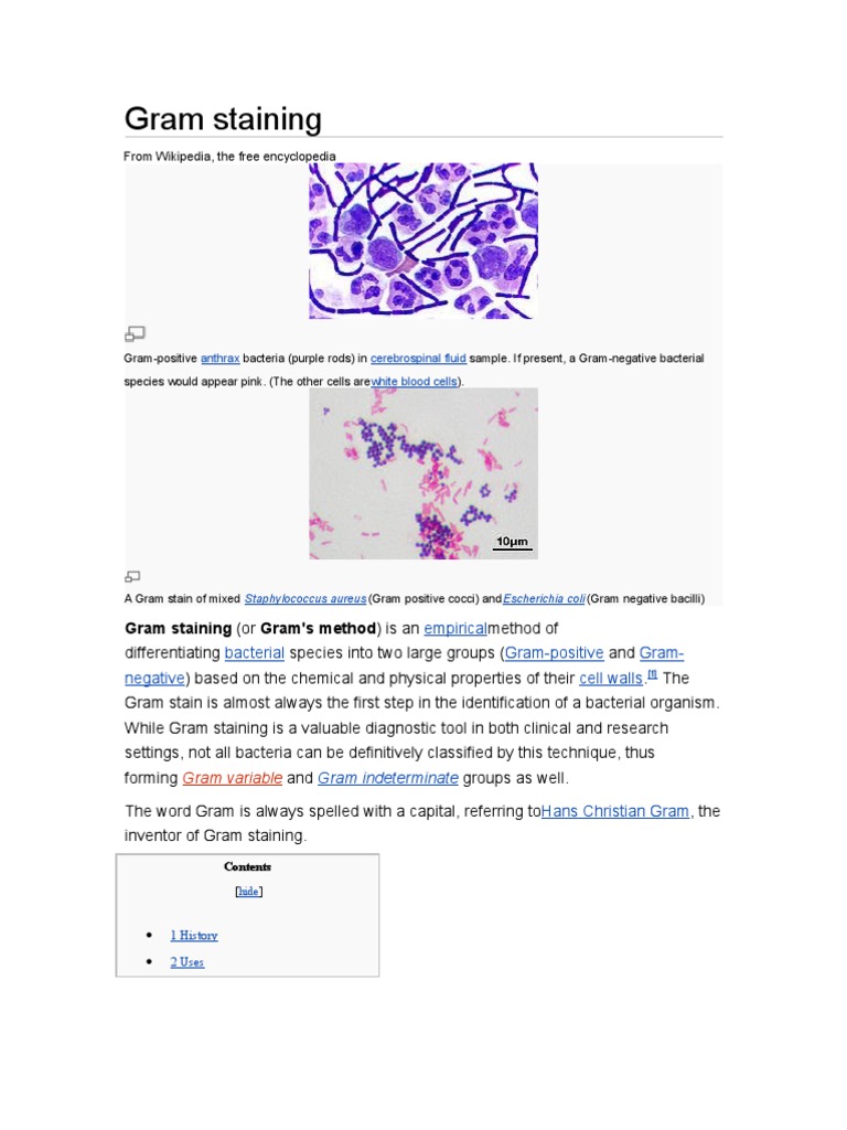 Gram Staining | PDF | Gram Positive Bacteria | Pathology