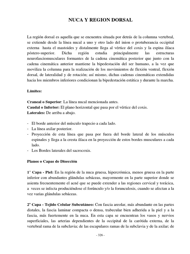 09 Nuca y Region Dorsal PDF | PDF | Sistema esquelético | Tórax ...
