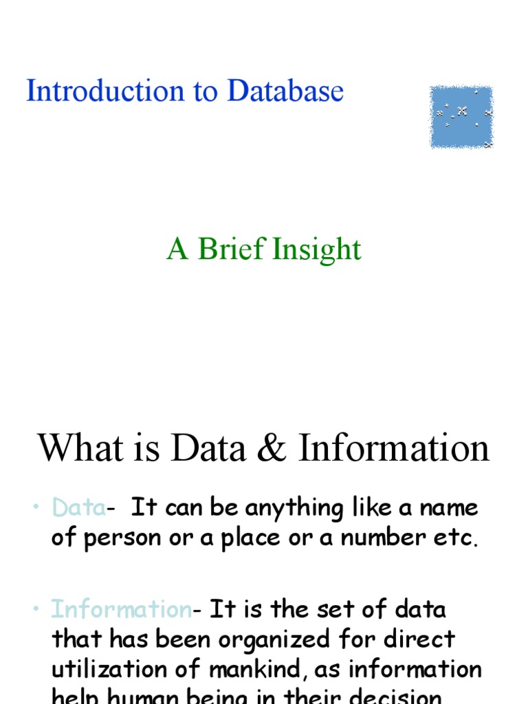 Introduction To Database: A Brief Insight | PDF | Databases | Conceptual Model