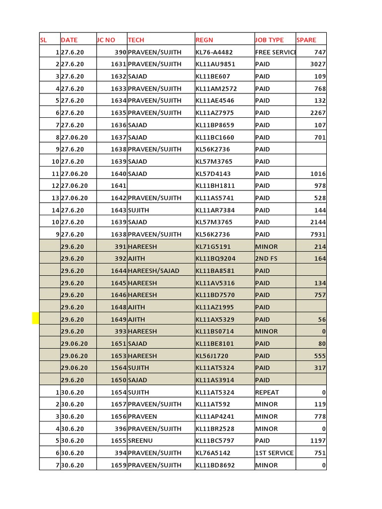 Daily Service Report | PDF