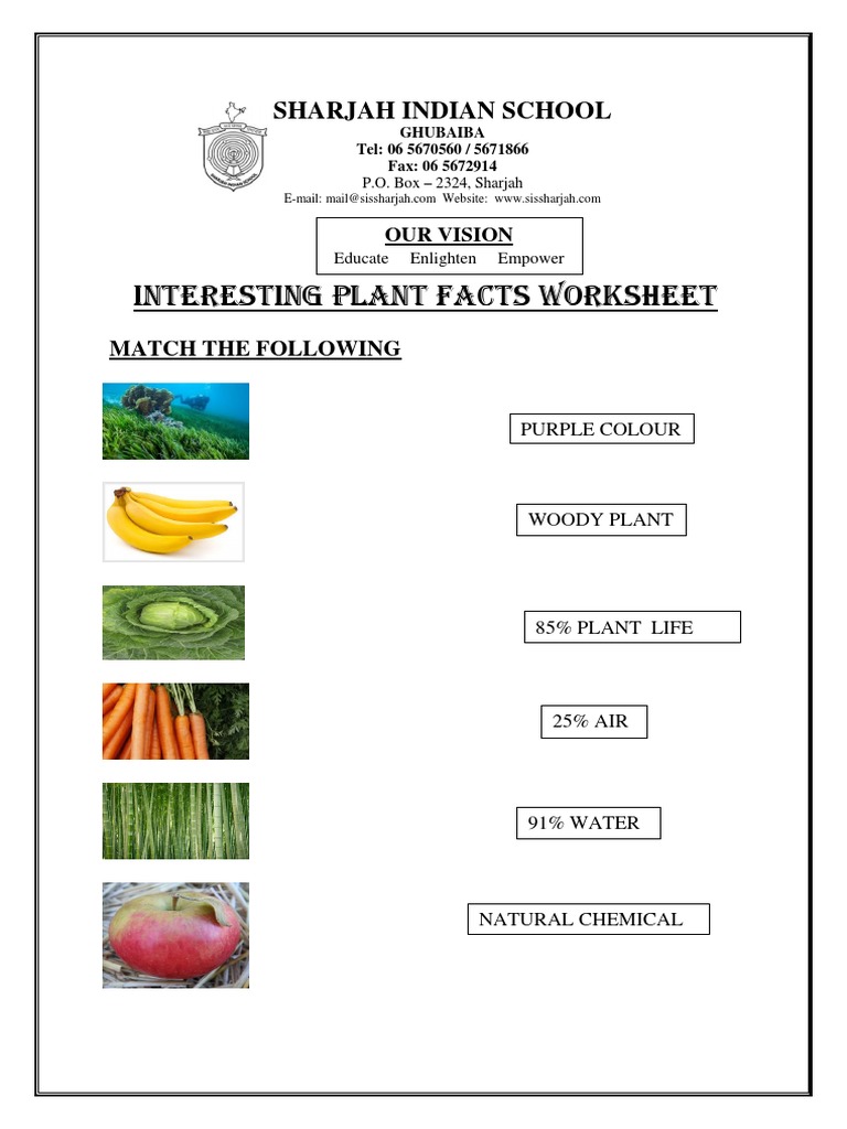 Interesting Plant Facts Worksheets | PDF