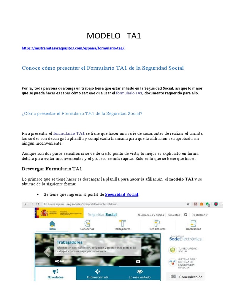 Modelo Ta1 | PDF | Seguridad Social | Vejez