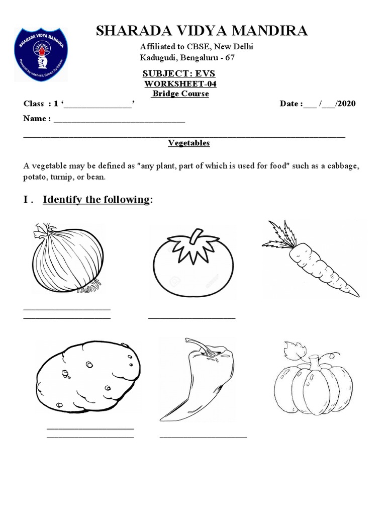 G01 - EVS - Bridge Course - Bridge Course - Worksheet - 4 - 2020-21 | PDF