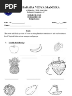 Class 5 Measurement Worksheets with Answers | PDF