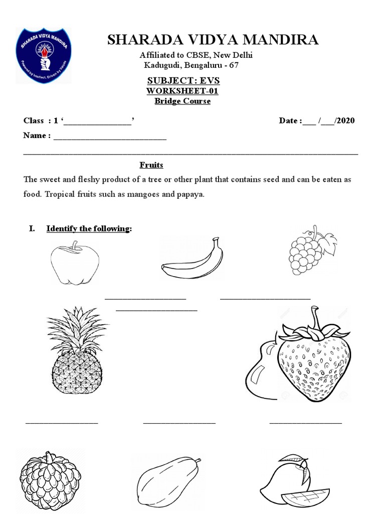 G01 - EVS - Bridge Course - Bridge Course - Worksheet - 1 - 2020-21 | PDF