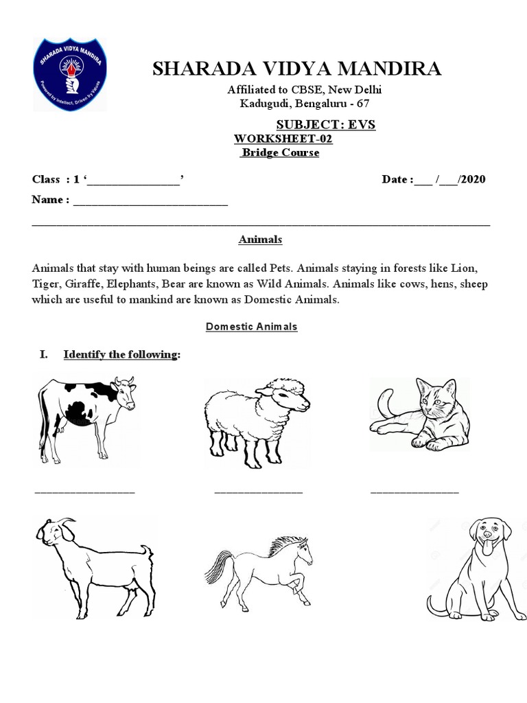 G01 - EVS - Bridge Course - Bridge Course - Worksheet - 2 - 2020-21 | PDF