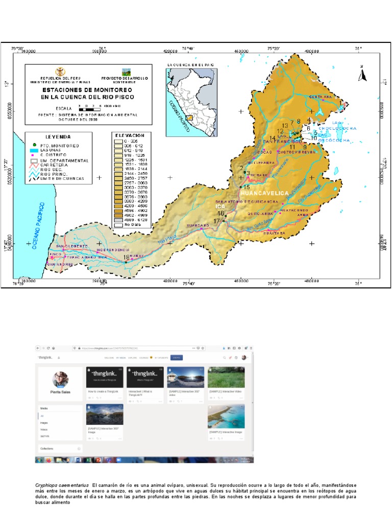 Cryphiops Caementarius El Camarón de Río Es Una Animal Ovíparo | PDF