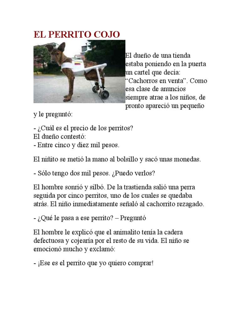 EL PERRITO COJO (Reflexion) | PDF