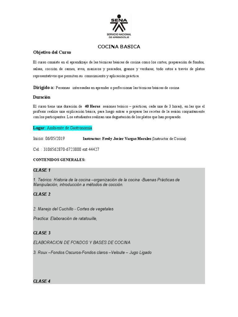 Curso de COCINA BASICA | PDF | ensalada | Vegetales