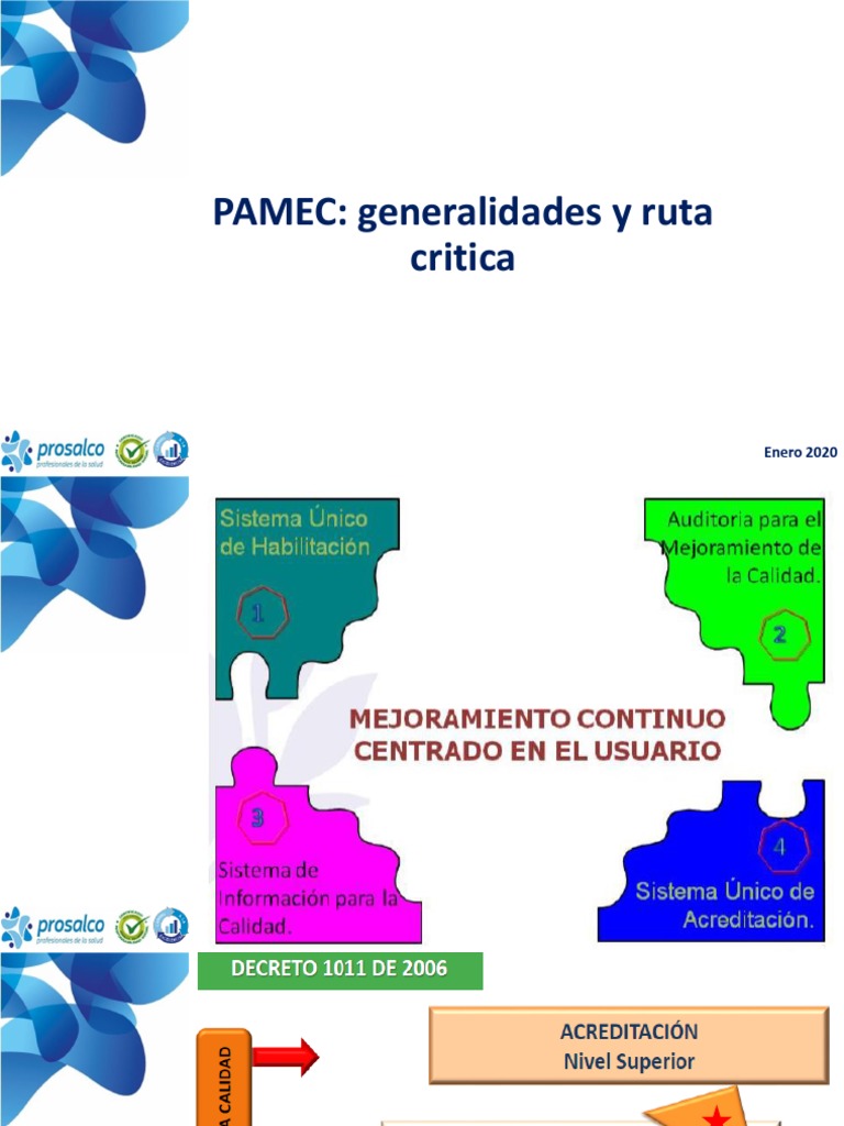 PAMEC Generalidades Y Ruta Crítica | PDF | Calidad (comercial) | Evaluación