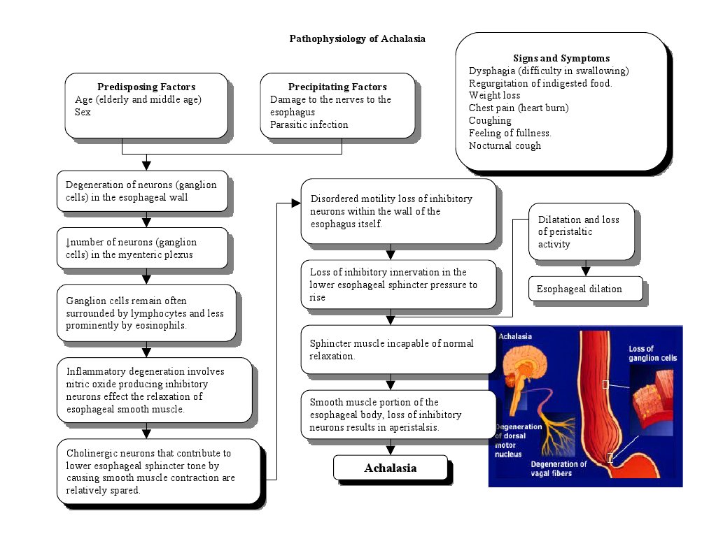 Pa Tho Physiology of Achalasia | Esophagus | Medical Specialties