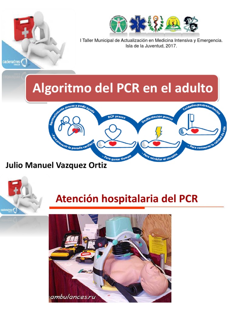 Algoritmo de RCP en Adultos 2024 | PDF | Reanimación cardiopulmonar ...