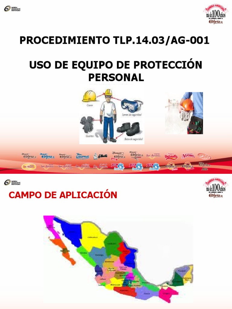 Presentacion EPP | PDF | Bienestar | Medicina