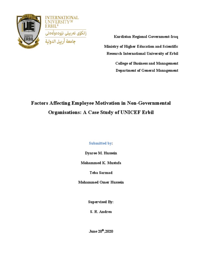 Employee Motivation Factors at UNICEF Erbil | PDF | Motivation ...
