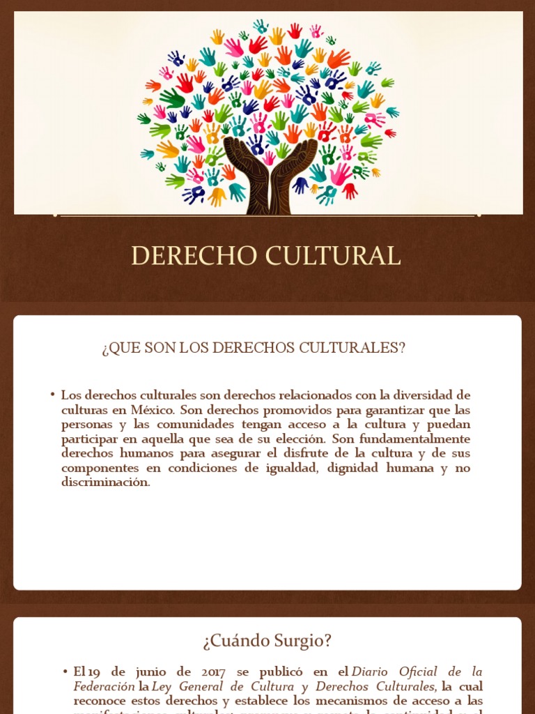 Derecho Cultural | PDF | Libertad de expresión | Derechos humanos