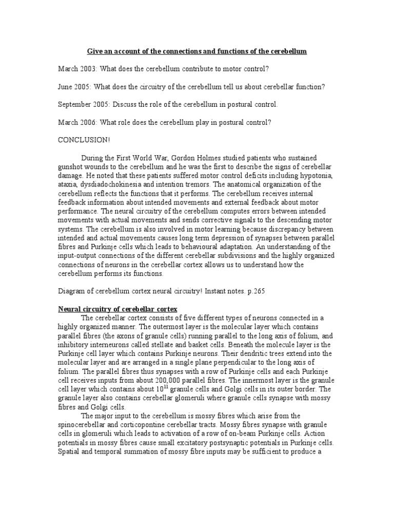 Cerebellum Essay - Connections and Functions of The Cerebellum | PDF ...