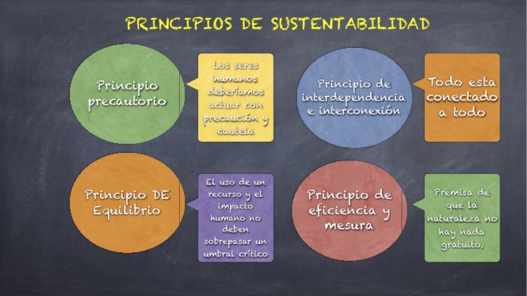 Principios de Sustentabilidad | PDF