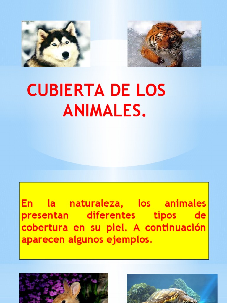 CUBIERTA DE LOS Animales | PDF
