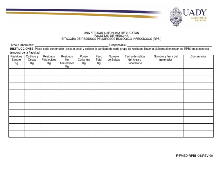 Bitácora RPBI | PDF