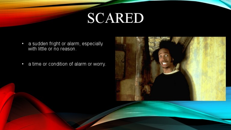 Scared: - A Sudden Fright or Alarm, Especially With Little or No Reason ...