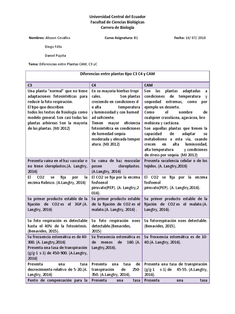Diferencias C3 4 Cam | PDF | Plantas | Fotosíntesis