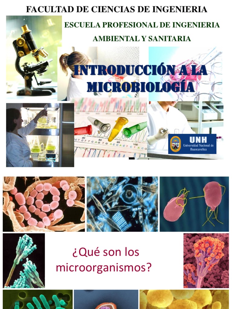 Introduccion A La Microbiologia PDF | PDF | Microbiología | Biología