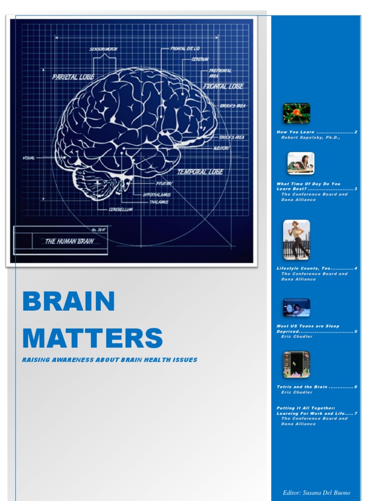 Brain Matters - Issue#1 | PDF | Synapse | Brain