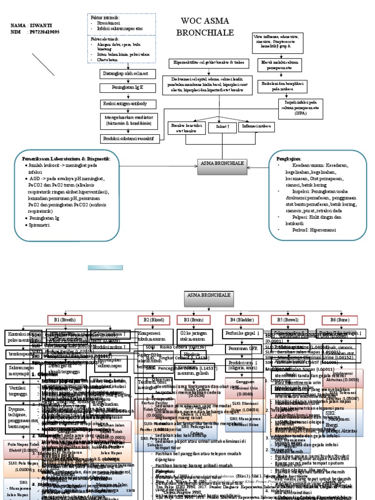 Woc Asma | PDF