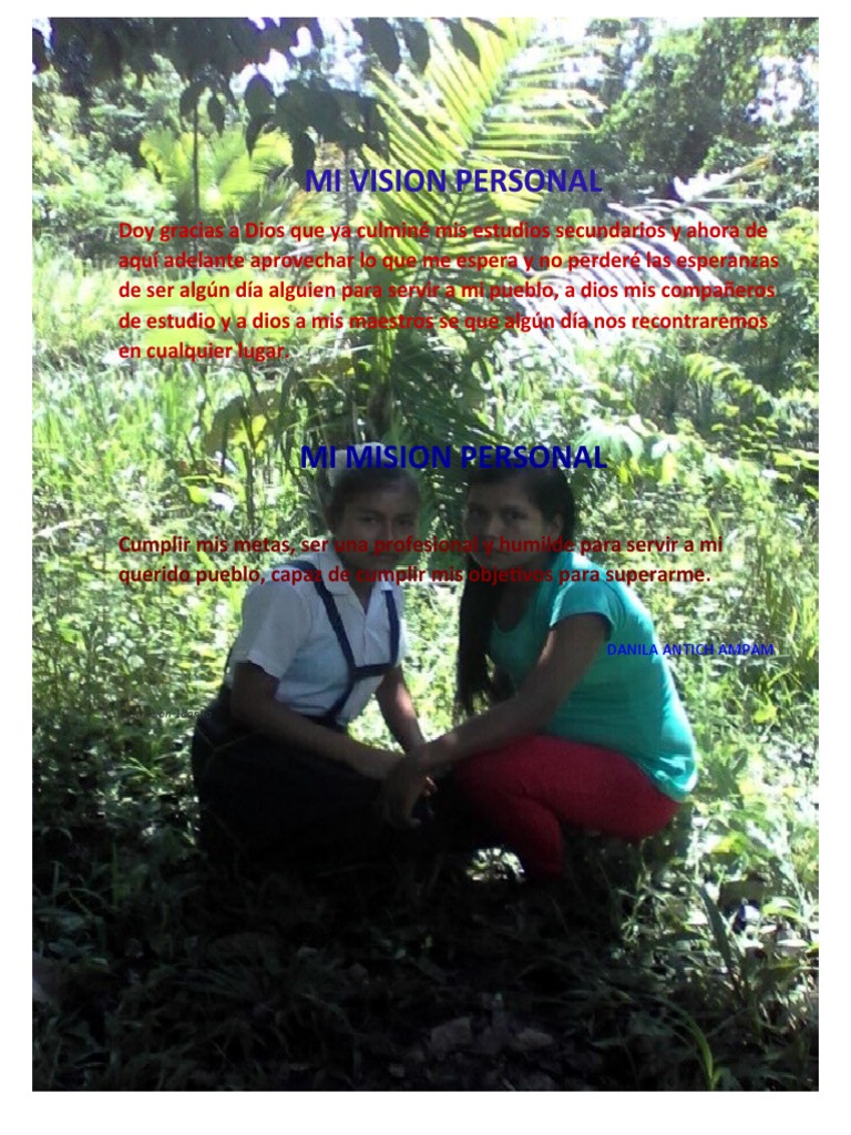 Mi Vision Personal | PDF