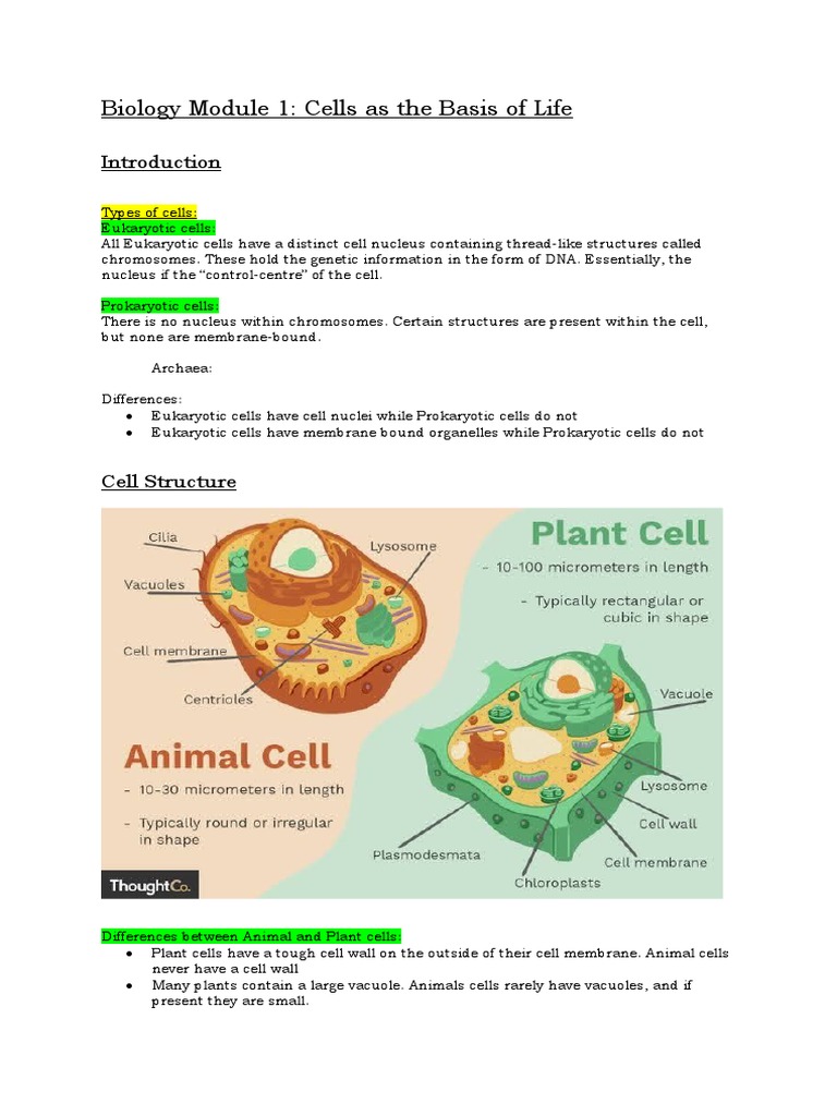 Biology Module 1: Cells As The Basis of Life | PDF | Cell (Biology ...