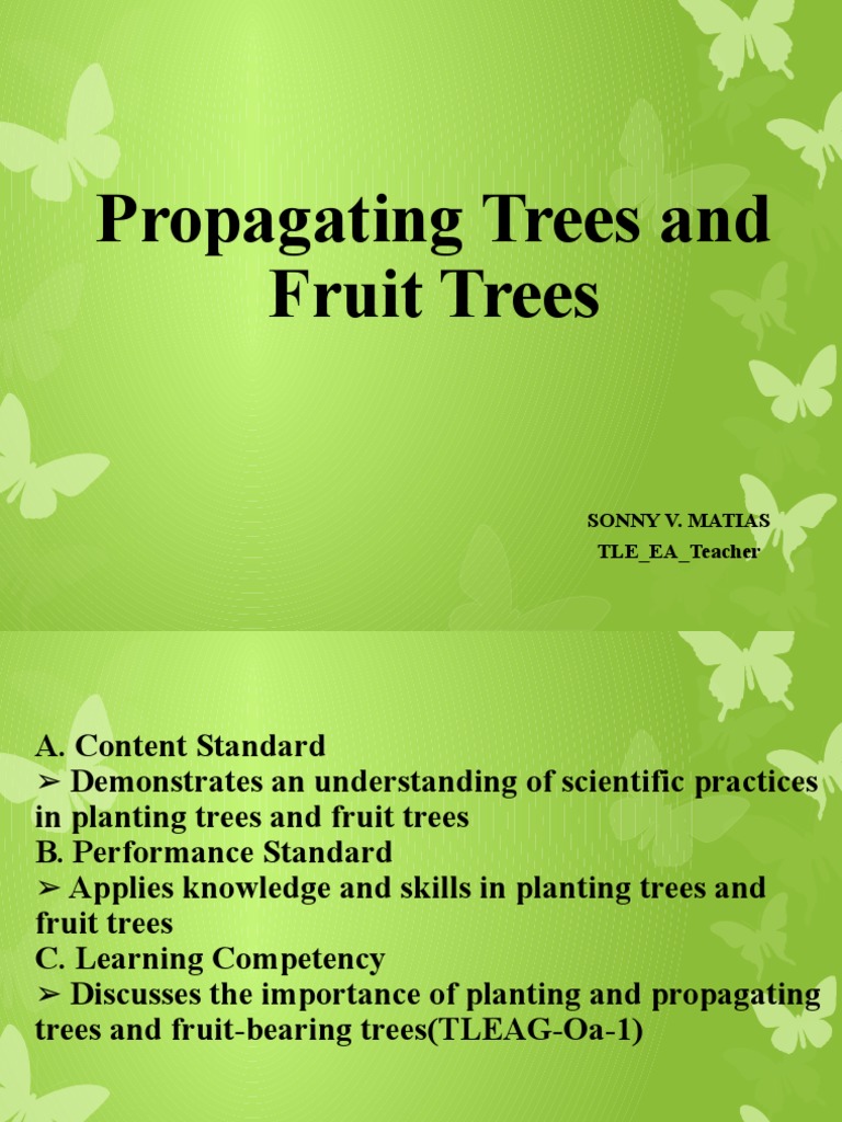 Propagating Trees and Fruit Trees: Sonny V. Matias TLE - EA - Teacher ...