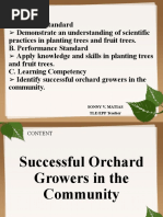 Method of Layout Orchard | PDF | Plants | Trees