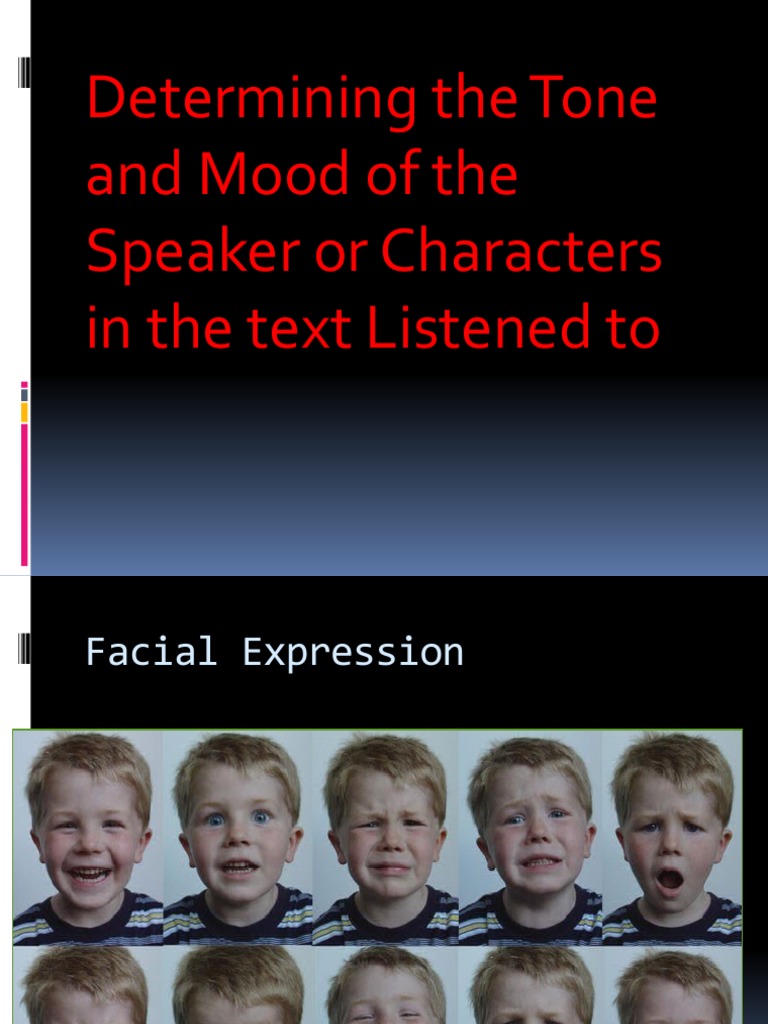 Determining The Tone and Mood of The Speaker or Characters in The Text ...