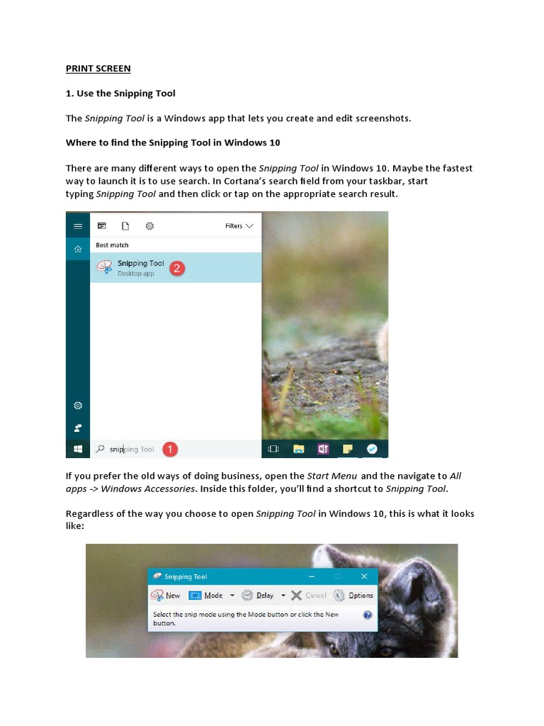 Print Screen 1. Use The Snipping Tool | PDF | Screenshot | System Software