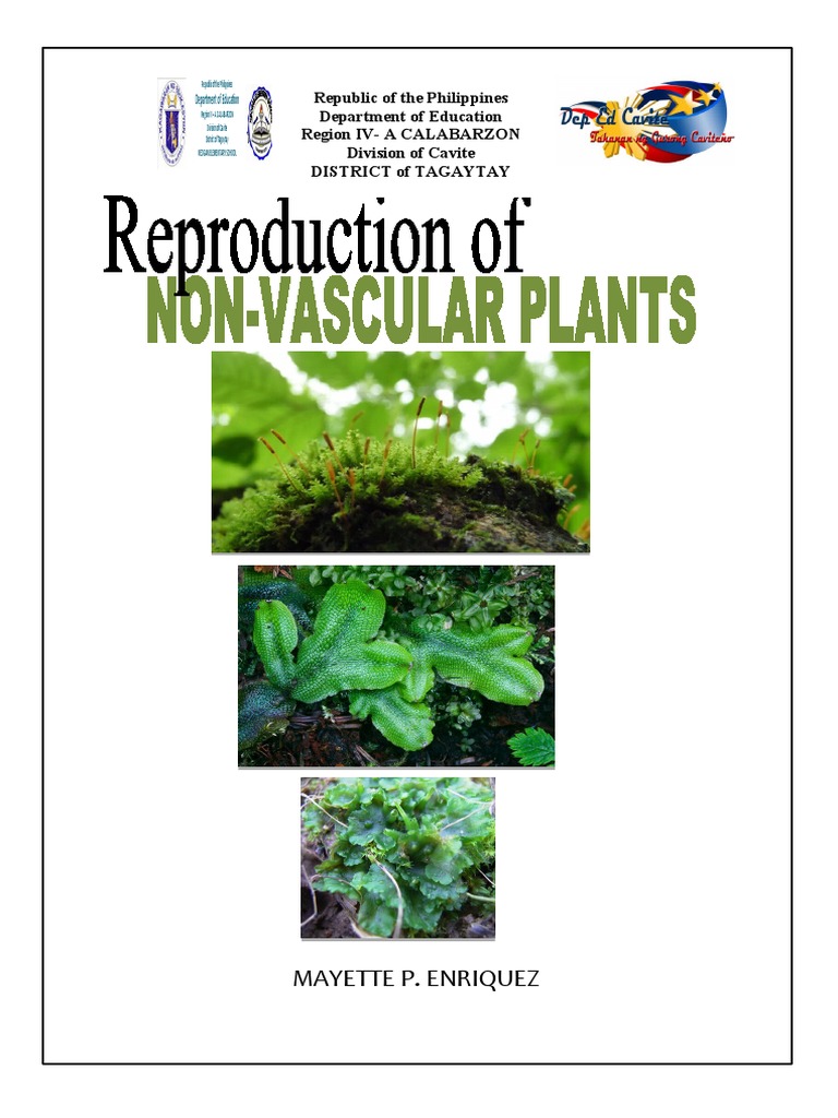 Module in Science 6 - Reproduction of Non-Vascular Plants | PDF | Moss ...