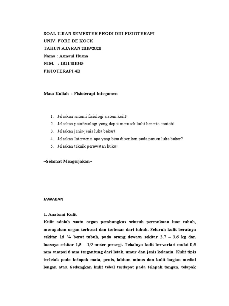 Soal Integumen | PDF