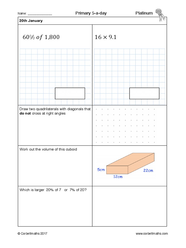 Primary 5-a-day Platinum Maths Worksheet 20th January | PDF