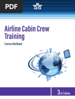 Basic AVSEC Questions | PDF