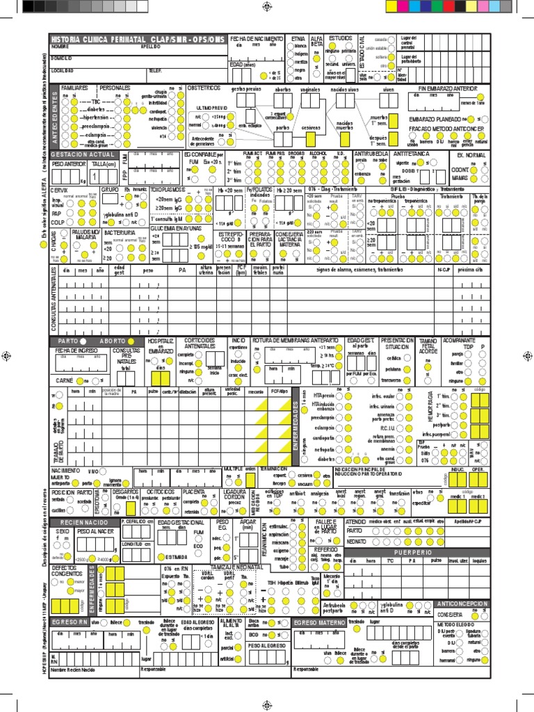 Historia Clinica Perinatal Base Sip 2012 PDF | PDF | El embarazo | Parto