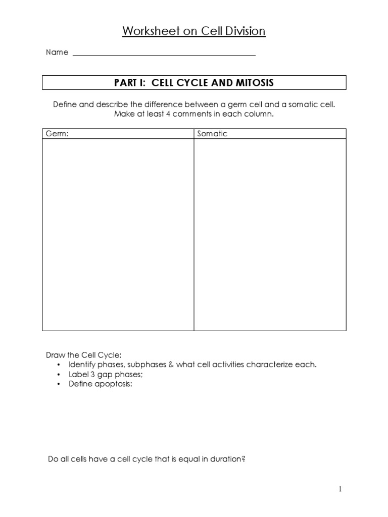 Worksheet of Cell Division | PDF | Meiosis | Mitosis