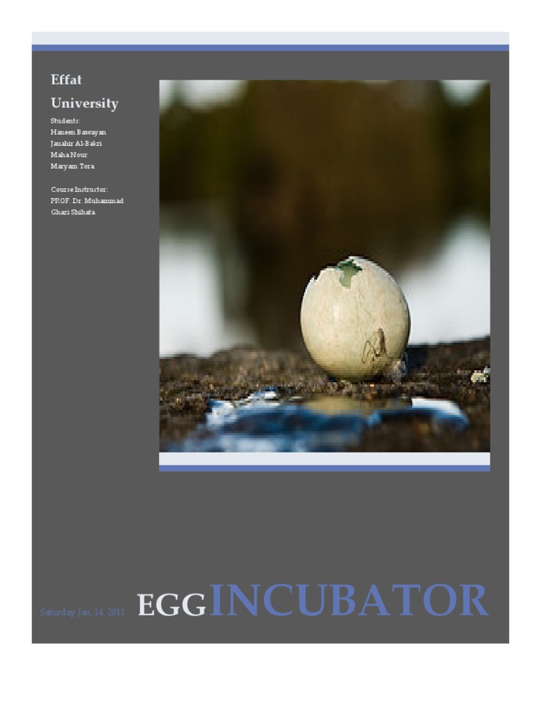 Egg Incubator - Project Report | PDF | Capacitor | Electrical Network