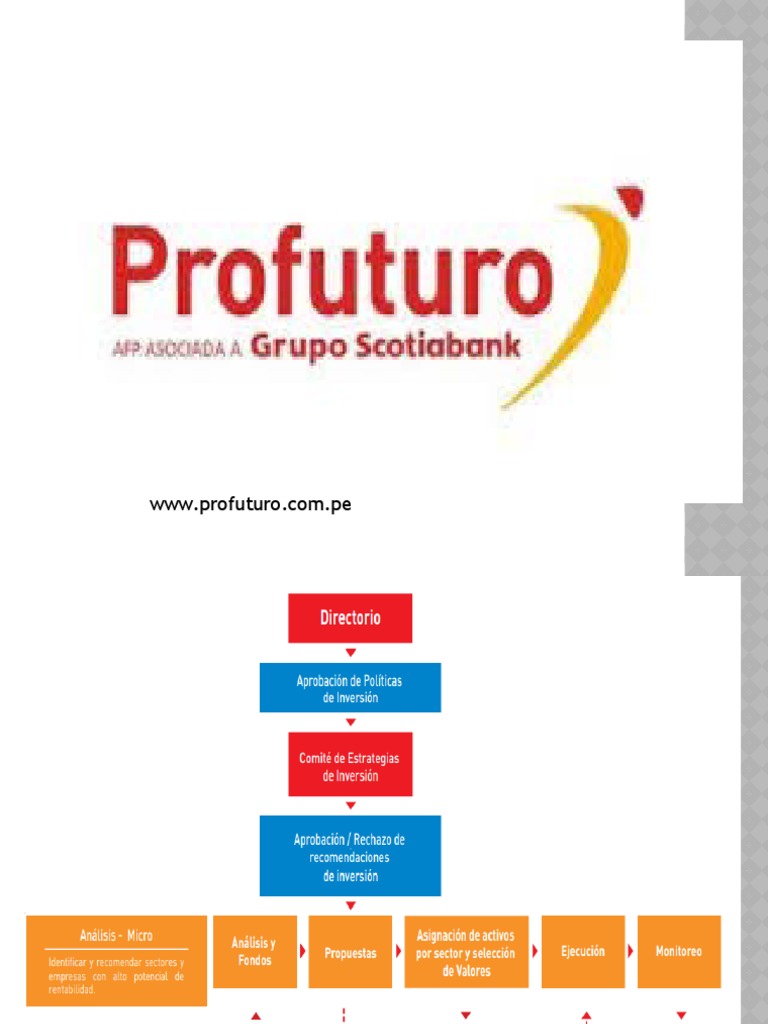 Profuturo | PDF