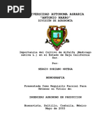 Ficha Tecnica Bullgrass 30.4 SL | PDF | Plantas | Botánica