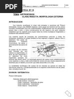 PRÁCTICA 1 - Colecta de Insectos | PDF | Insectos | Laboratorios