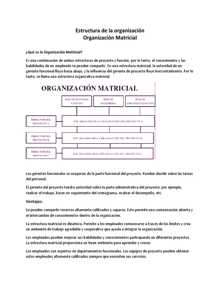 Organizacion Matricial | PDF | Matriz (Matemáticas) | Mercado (economía)